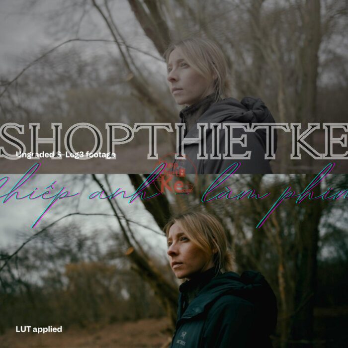 Sony SLog3 Cinematic LUTs – Bộ LUT Điện Ảnh Cho Máy Ảnh Sony (CUBE ...