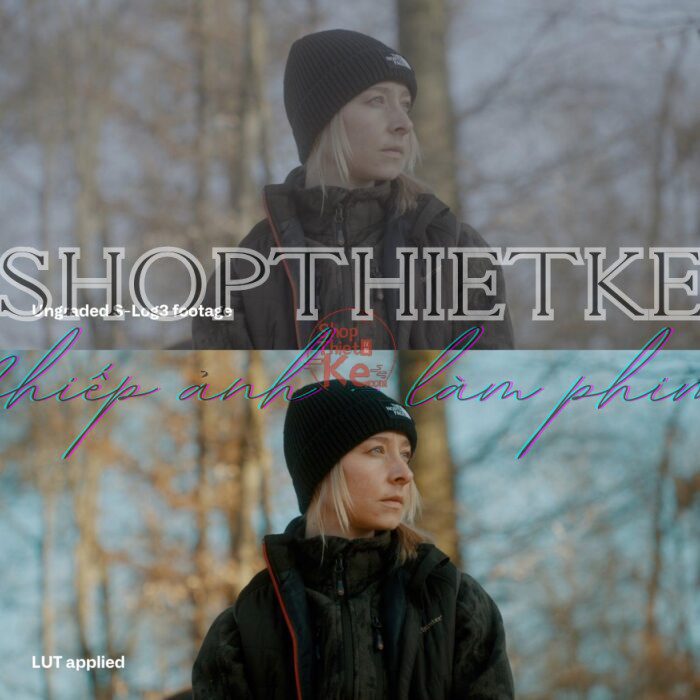 Sony SLog3 Cinematic LUTs – Bộ LUT Điện Ảnh Cho Máy Ảnh Sony (CUBE ...