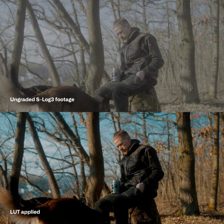 Sony SLog3 Cinematic LUTs – Bộ LUT Điện Ảnh Cho Máy Ảnh Sony (CUBE ...